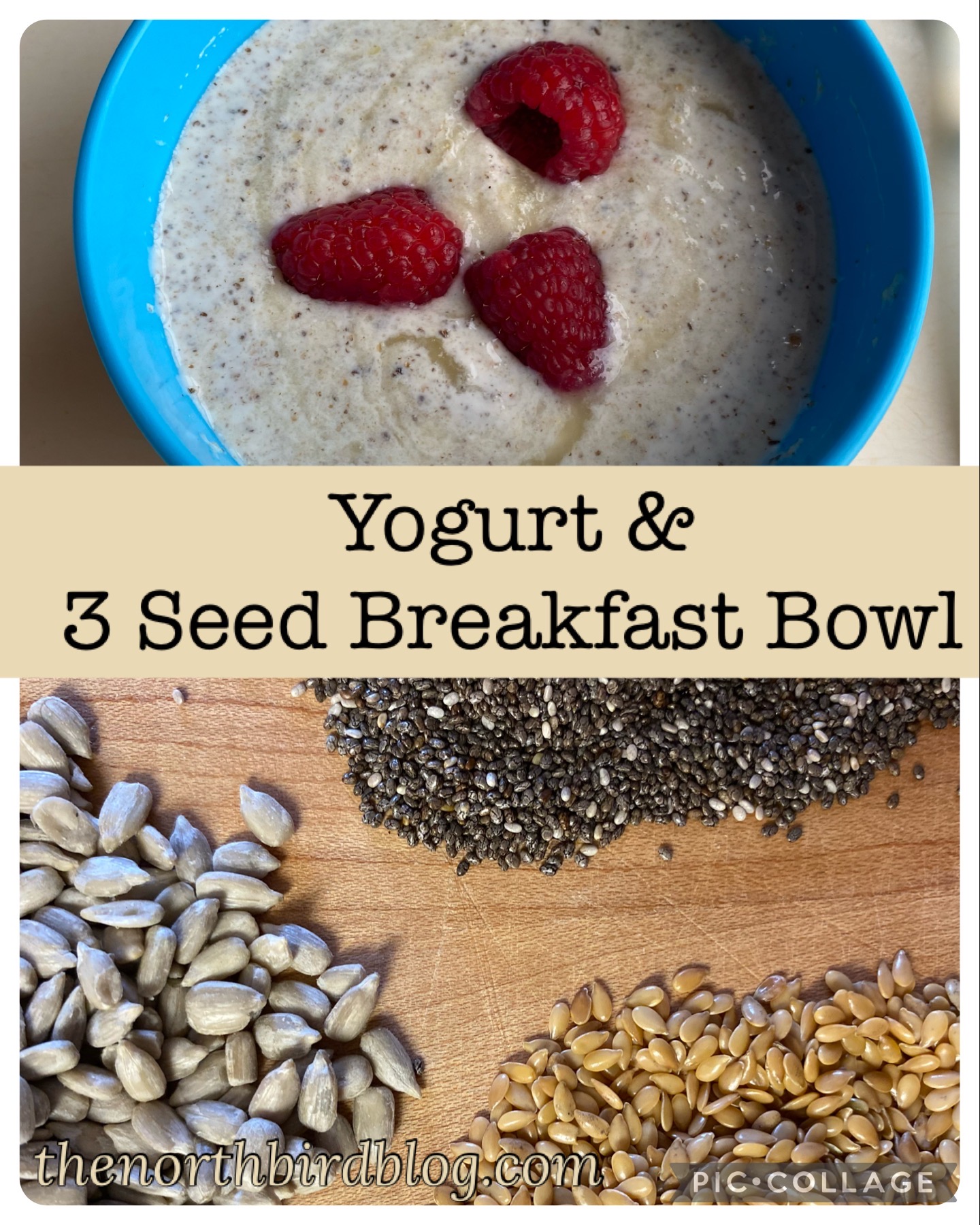 Yogurt and 3 Seed Breakfast Blend Recipe – Northbird