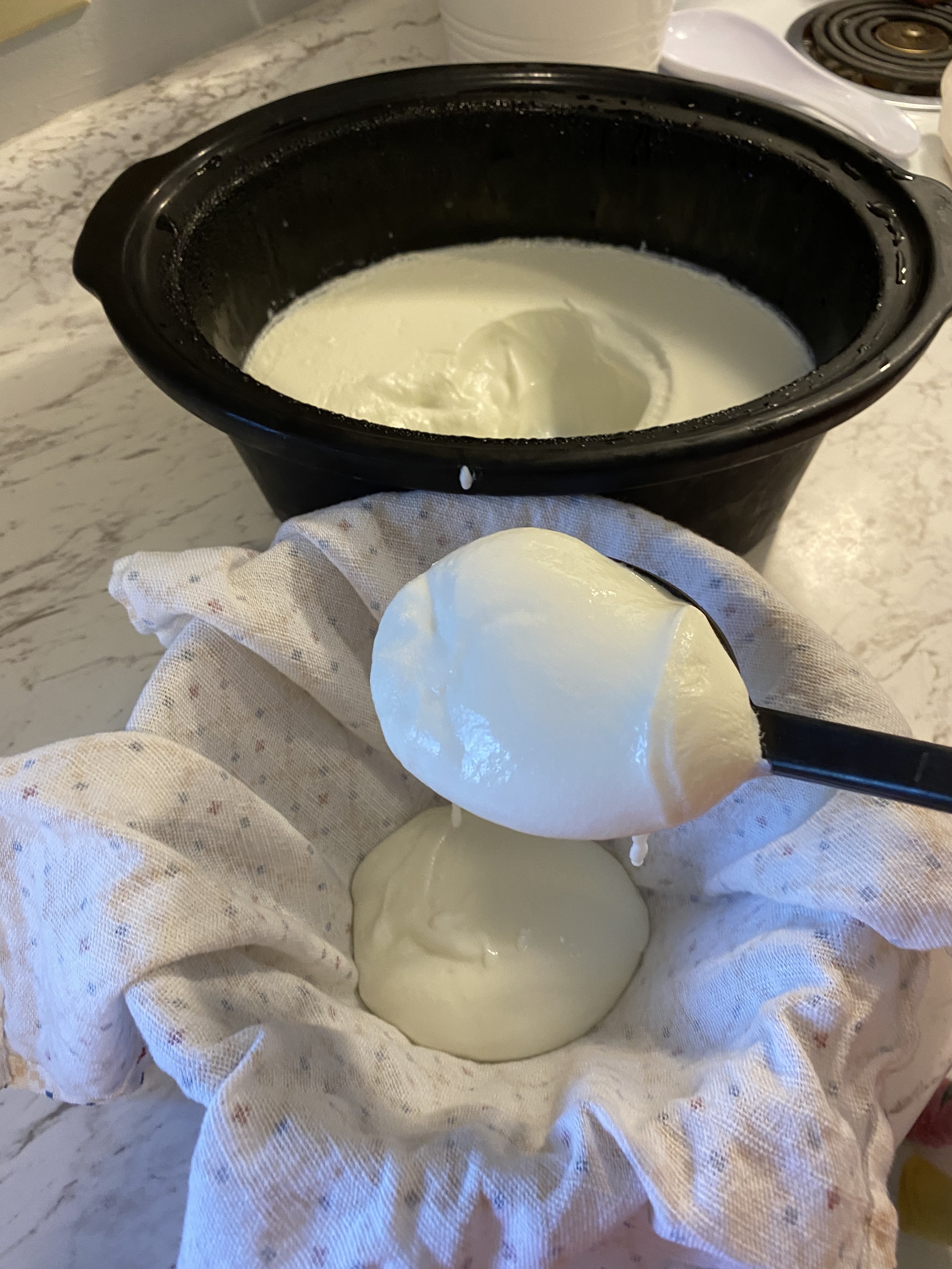 How to Make Yogurt in the Crockpot (Greek & Drinkable) – Northbird