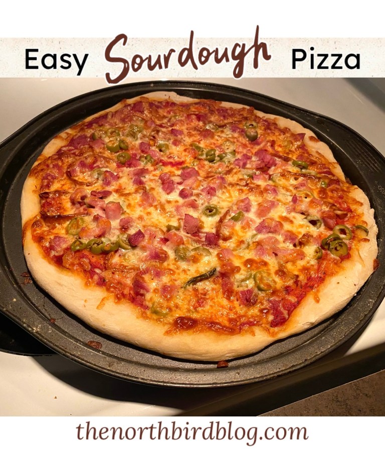 Sourdough Panzerotti (Pizza Pockets) – Northbird