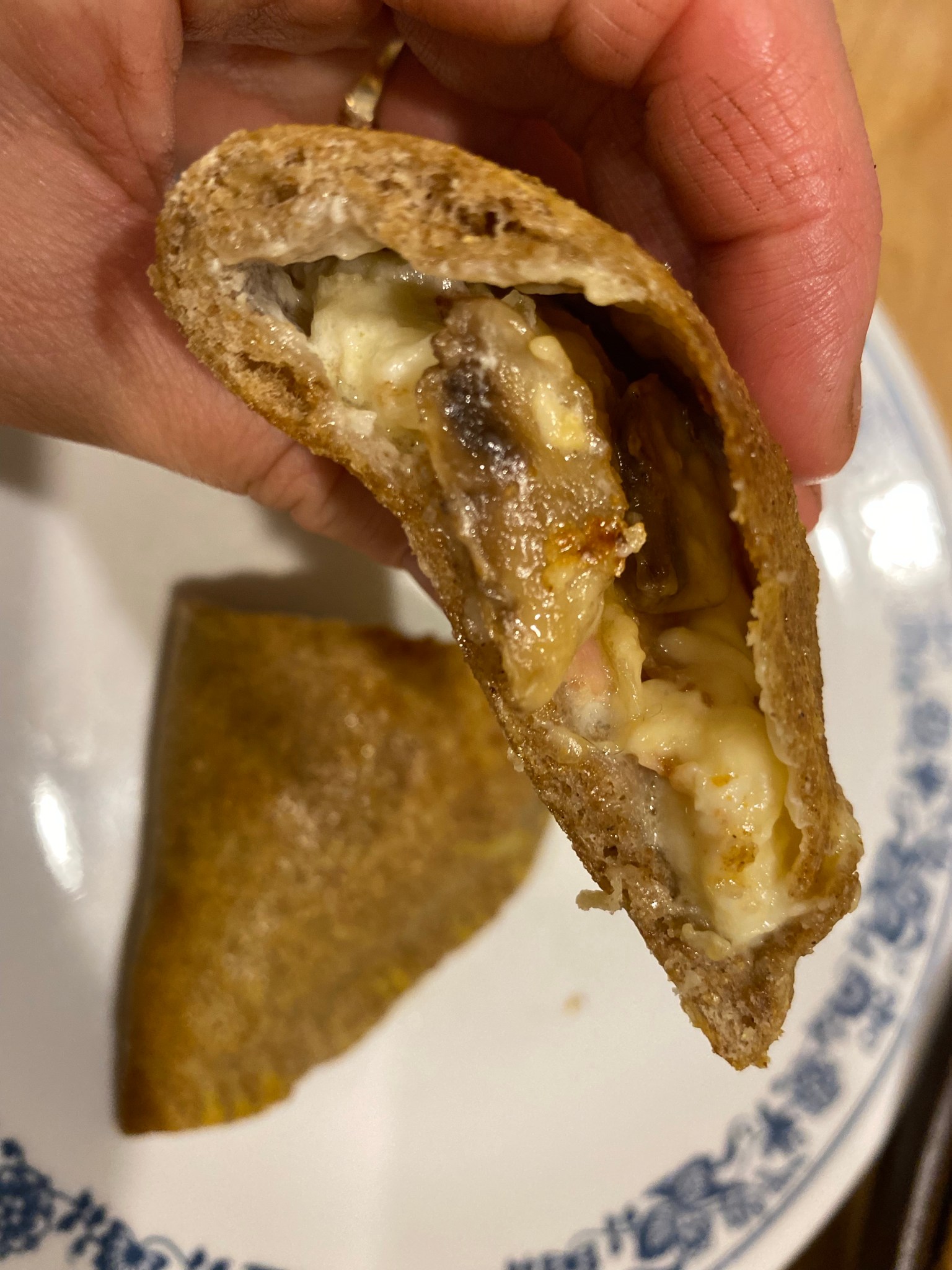 Sourdough Panzerotti (Pizza Pockets) – Northbird