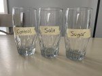 Exploring Salt Water Density: Homeschooling Egg Experiment – Northbird
