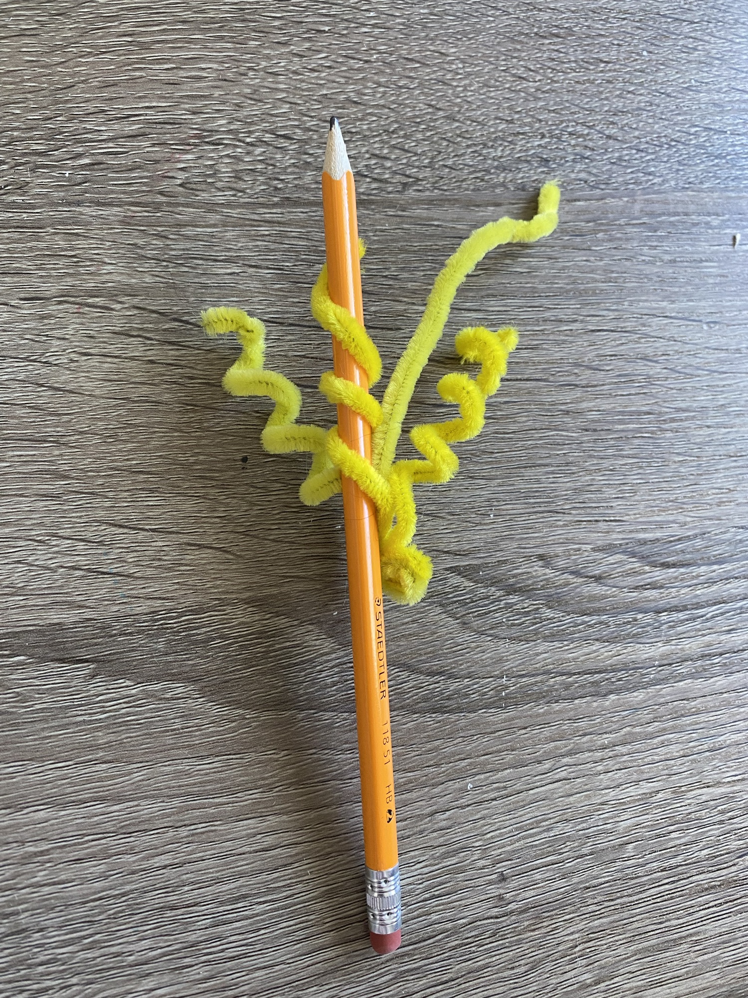 Create a Mini Coral Reef Craft