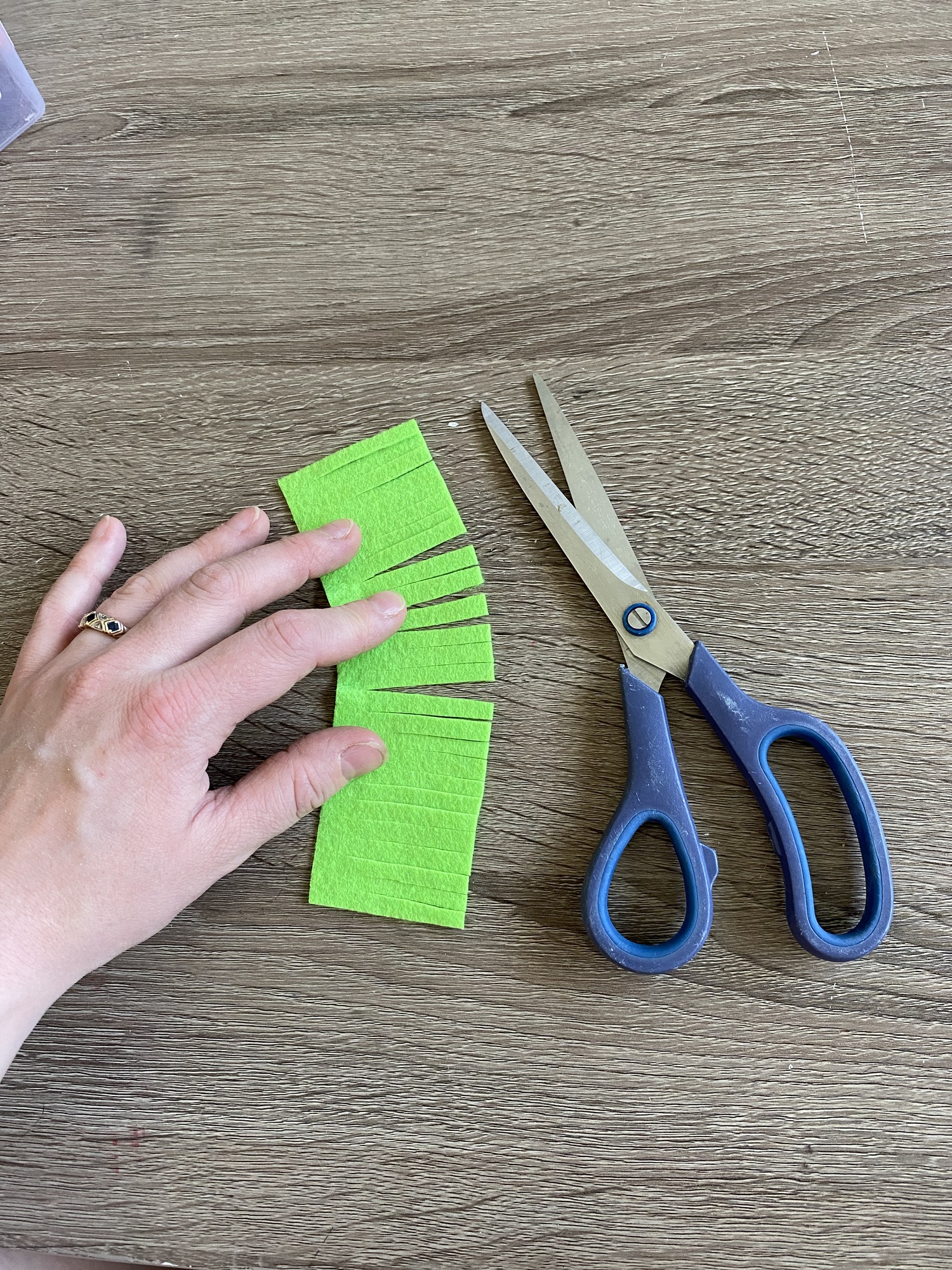 Create a Mini Coral Reef Craft – Northbird