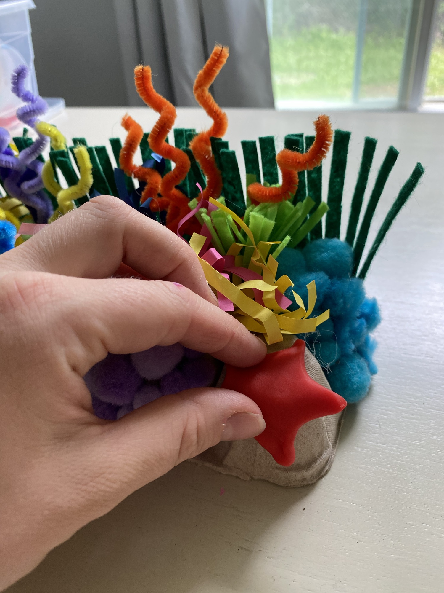 Create a Mini Coral Reef Craft – Northbird