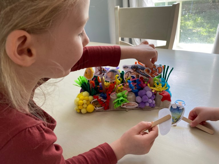 Create a Mini Coral Reef Craft – Northbird