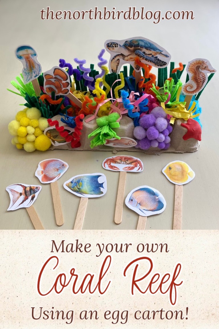 Create a Mini Coral Reef Craft – Northbird