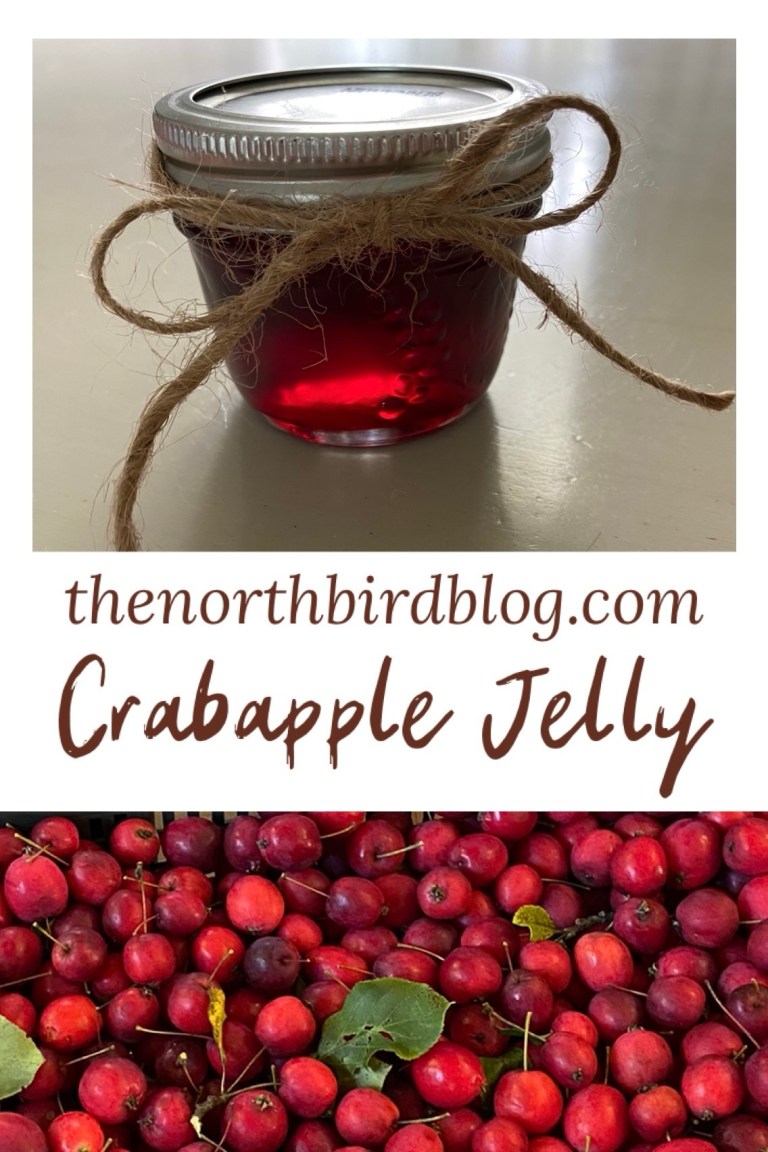 How to Make Crabapple Jelly: Step-by-Step Instructions – Northbird