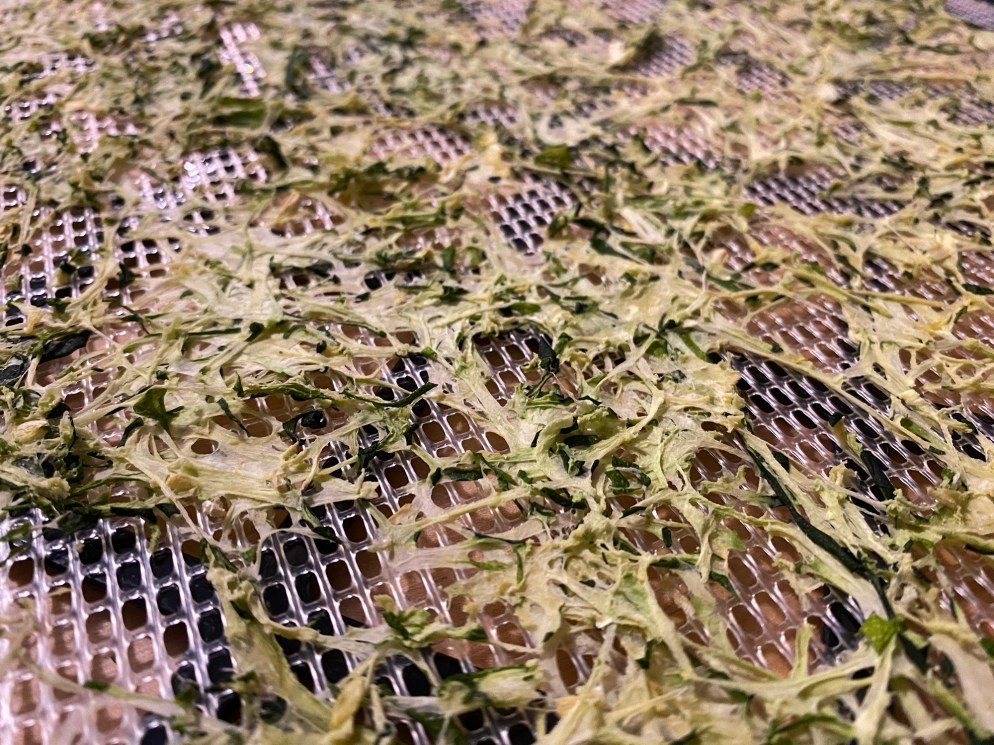 How to Dehydrate Zucchini – Northbird
