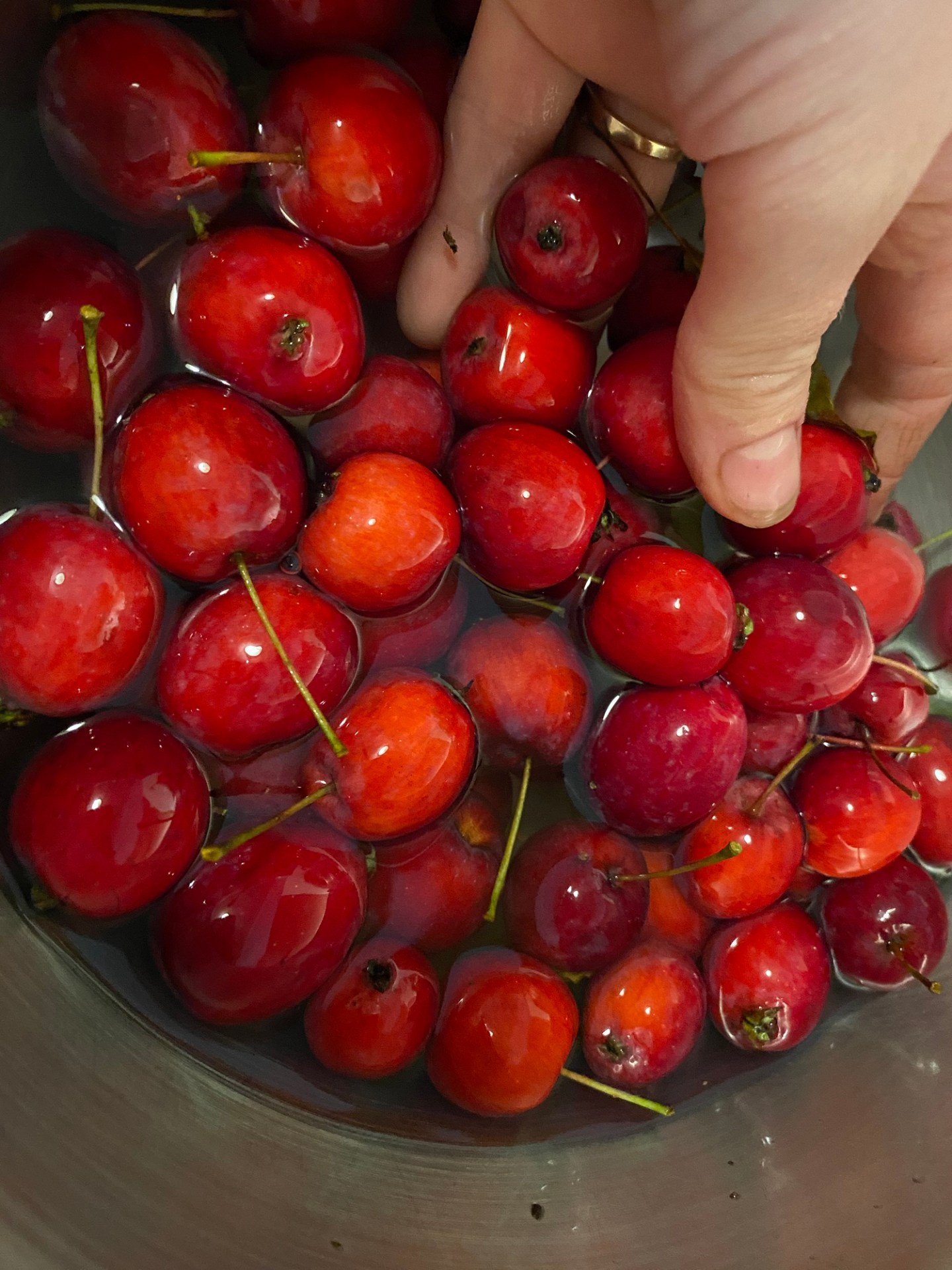 How to Make Crabapple Jelly: Step-by-Step Instructions – Northbird