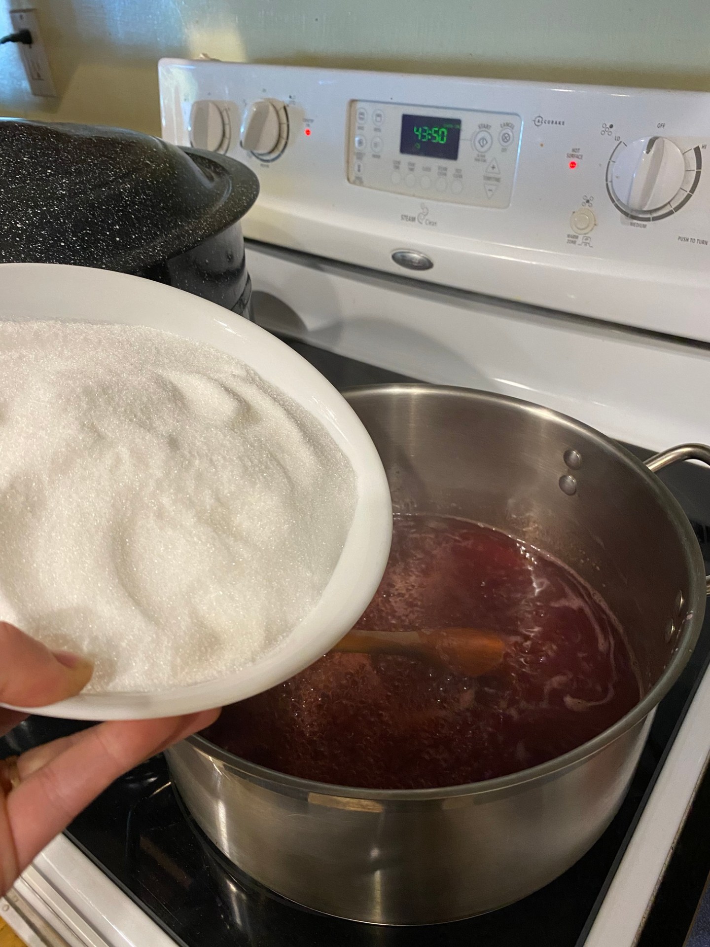 How to Make Crabapple Jelly: Step-by-Step Instructions – Northbird