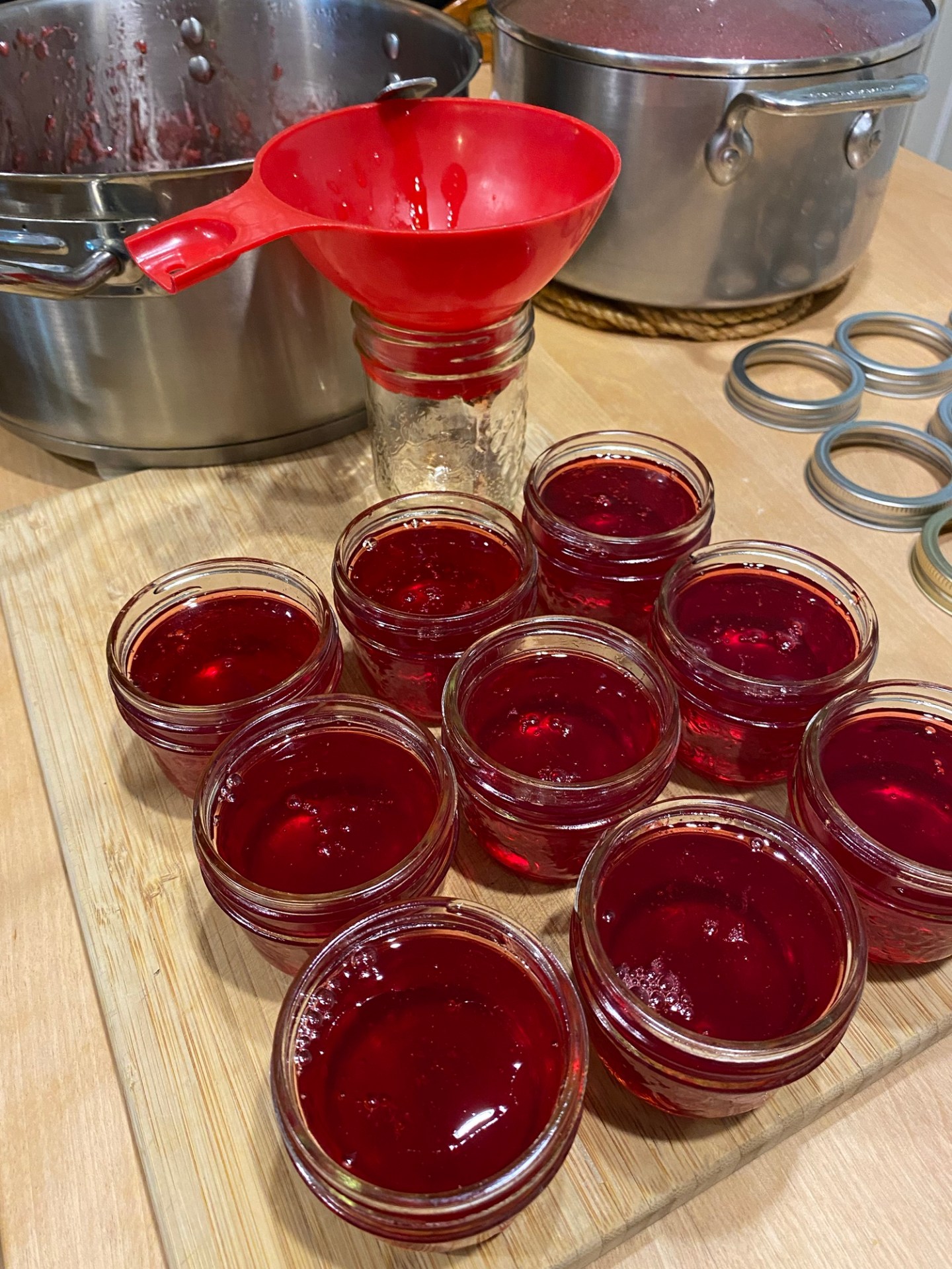 How to Make Crabapple Jelly: Step-by-Step Instructions – Northbird