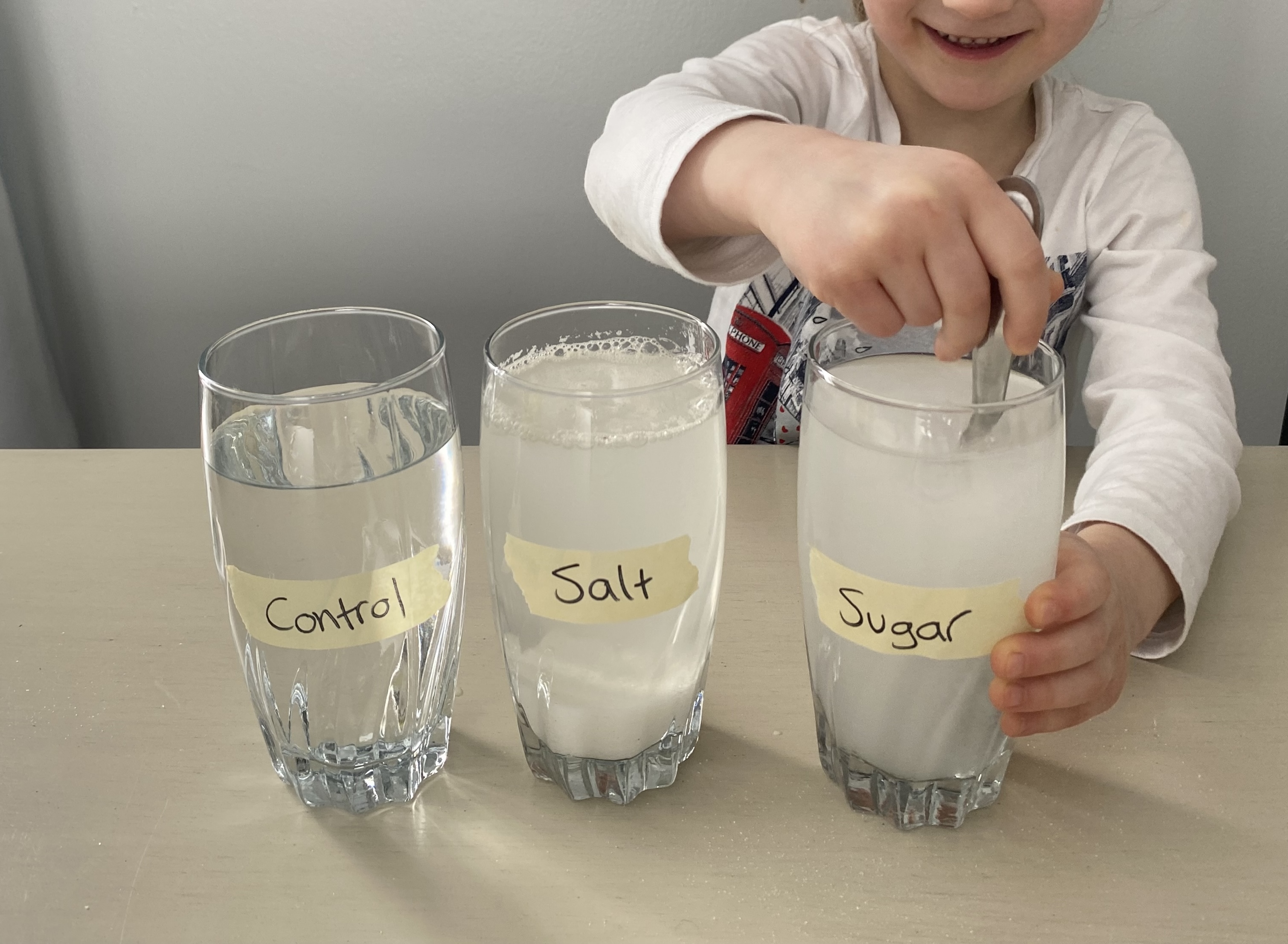 Exploring Salt Water Density: Homeschooling Egg Experiment – Northbird