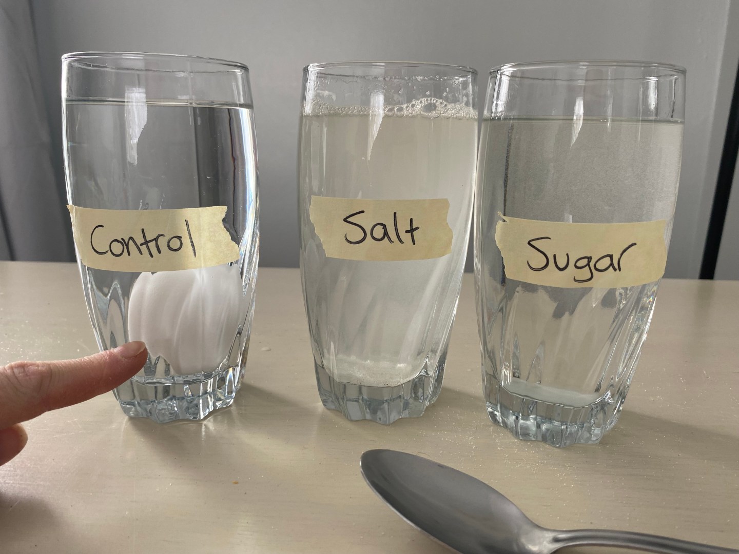 Exploring Salt Water Density: Homeschooling Egg Experiment – Northbird