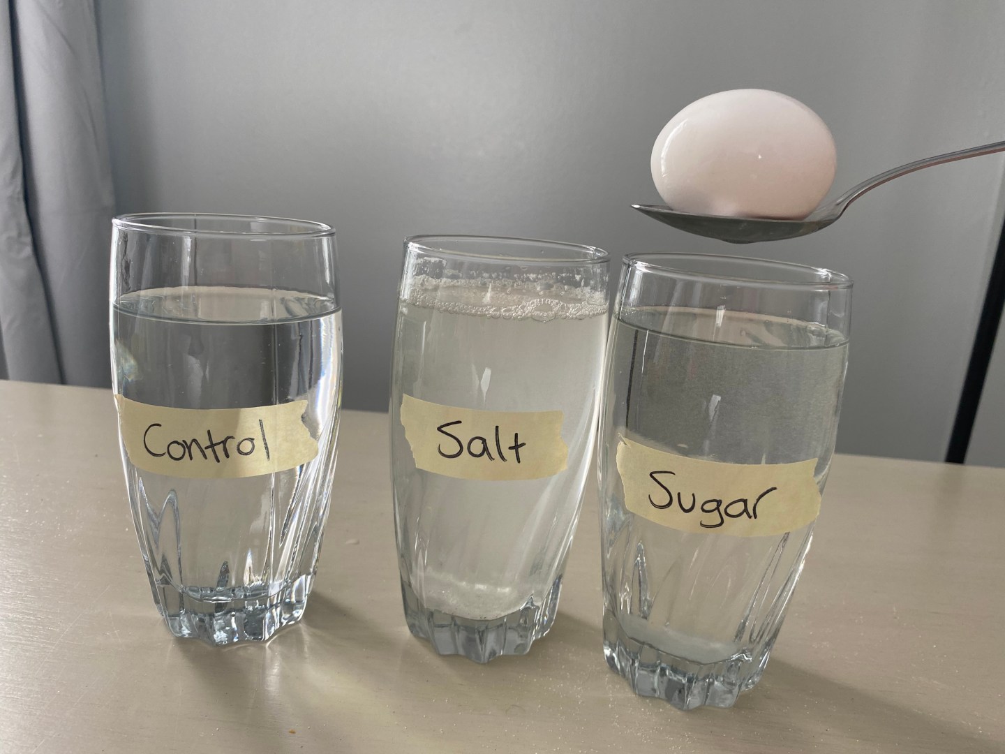 Exploring Salt Water Density: Homeschooling Egg Experiment – Northbird