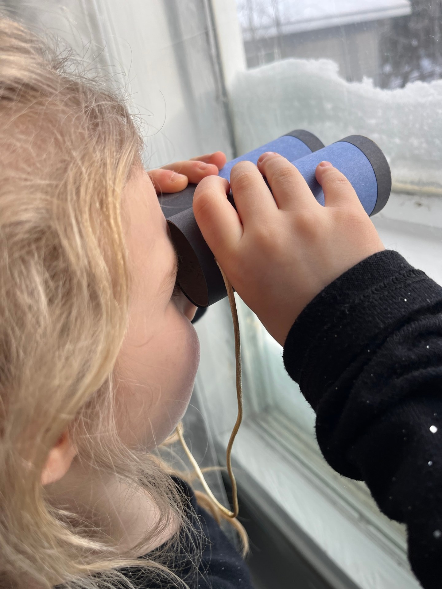 Birdwatching Binocular Craft with Bird Survey Printables – Northbird